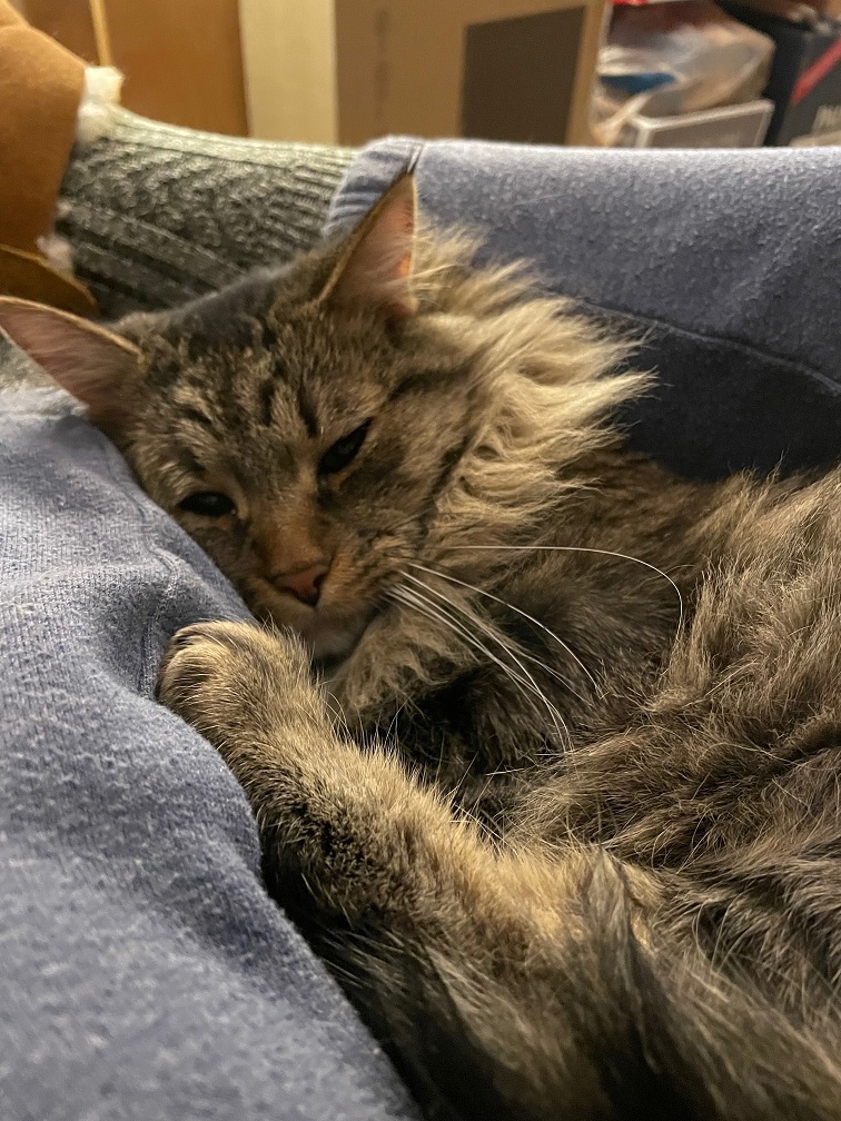 Meet the crew of The Goddard – Tales of The Goddard