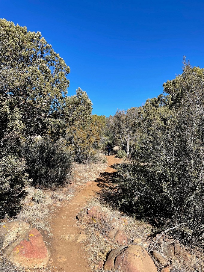 Big Tree Trail – Tales of The Goddard