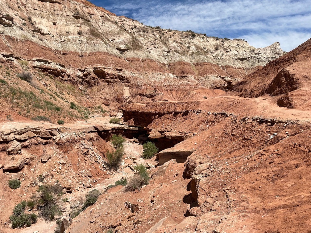 Toadstools Trail – Tales of The Goddard