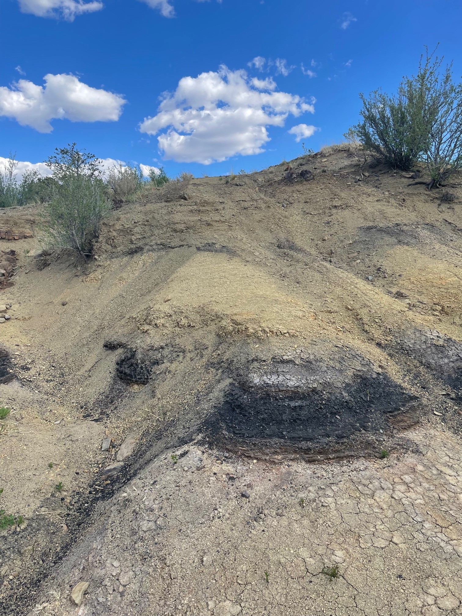 Iridium Layer Site – Tales of The Goddard