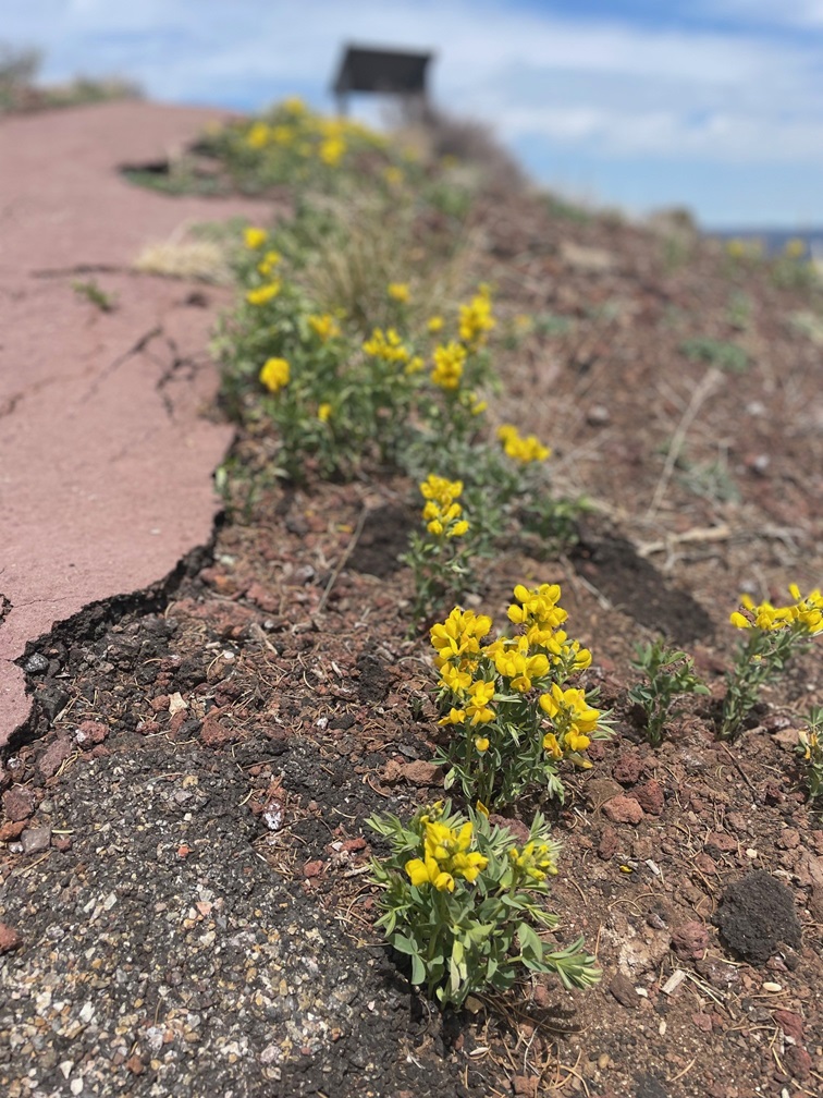 Capulin Volcano National Monument – Tales of The Goddard